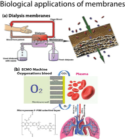 Behnam Ghalei | Pureosity | Sivaniah Group, iCeMS, Kyoto University